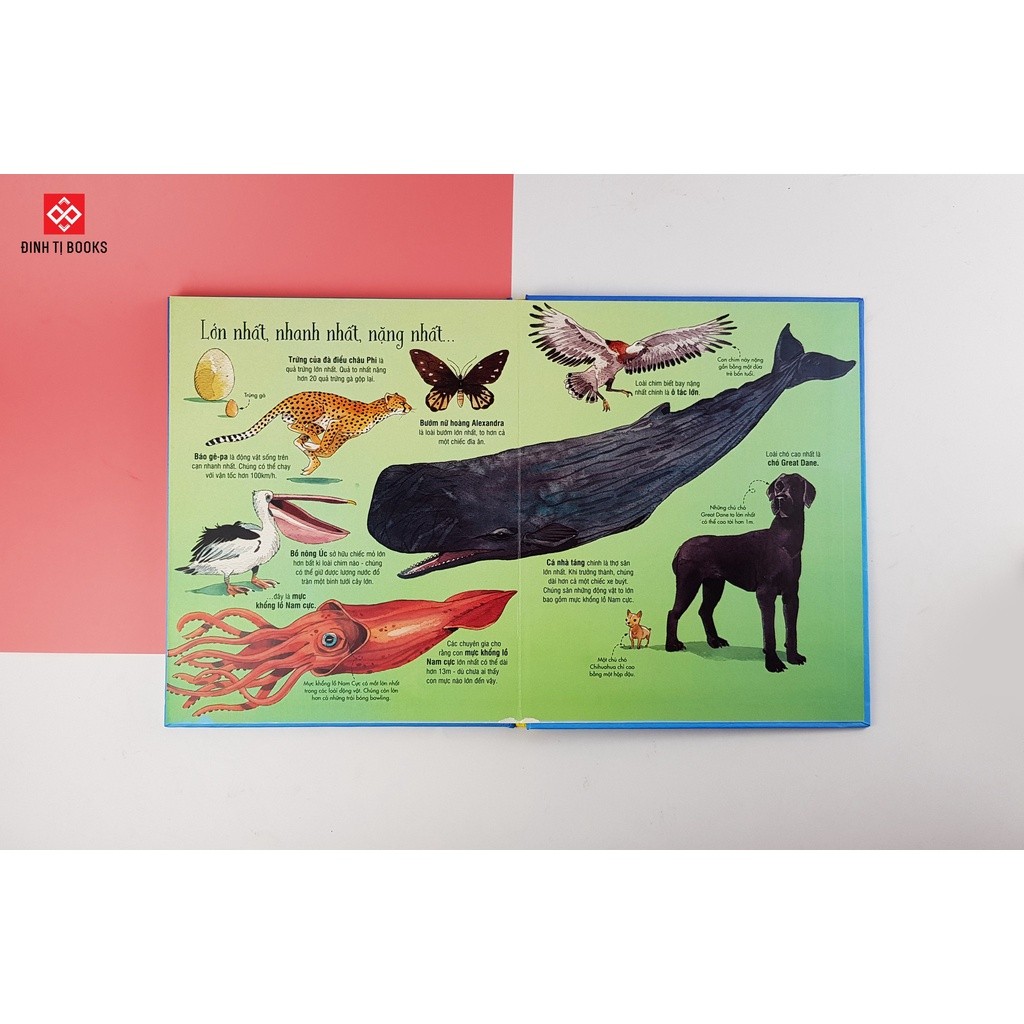 Book - big Book of big animals - Giant Book about giant animals - Book ...