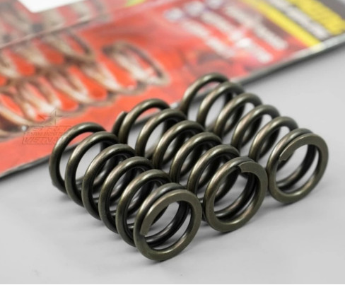Y16ZR / R15 / MT15 BRT RACING CLUTCH SPRING ( 3PCS SET ) | Shopee Malaysia