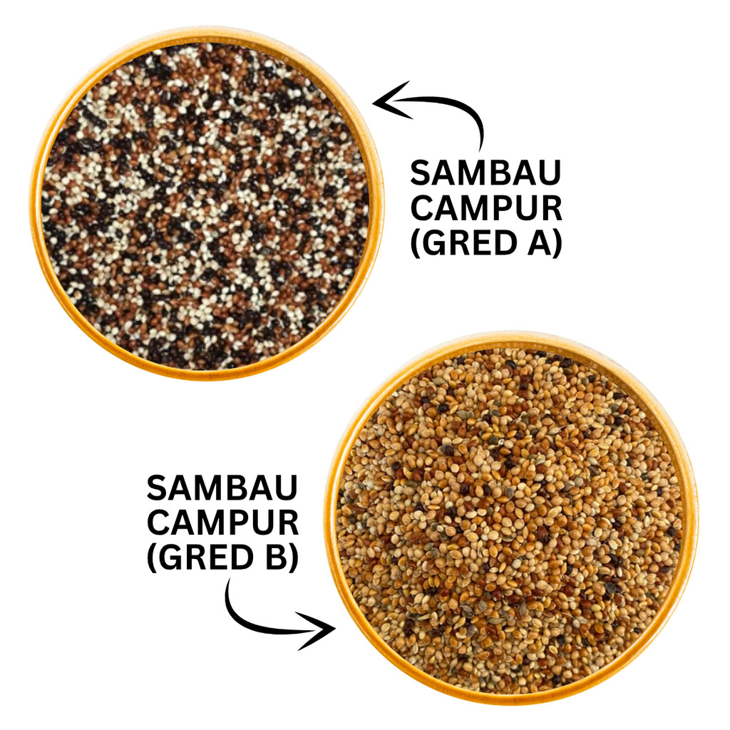 [10KG] [REPACK] SAMBAU PUTIH | MERAH | KUNING | HITAM | SAMBAU CAMPUR ...