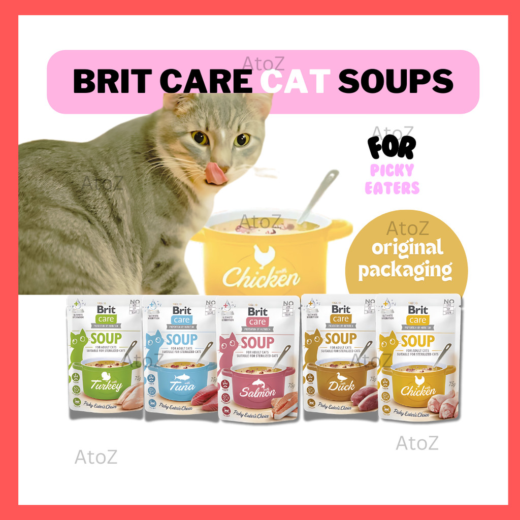 Brit Cat Soup 5 flavors 75g | Shopee Malaysia