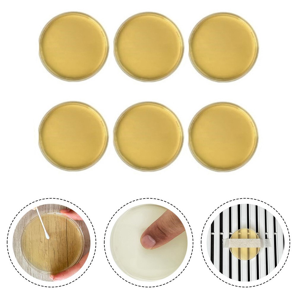 [Super] 6 Individual Tests for Mold Test Kit Home DIY Detector HVAC/Air ...