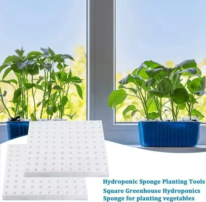 500/100PCS Hydroponic Sponge Block - Soilless Hydroponic Seedling ...