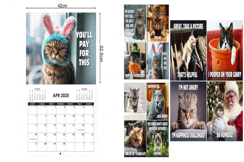 wanpanyu Humorous Cat Calendar Angry Cat Calendar 2025 2025 Funny Cat ...