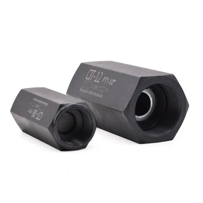 Ready Stock~CIT Hydraulic Check Valve Carbon Steel Internal Thread ...