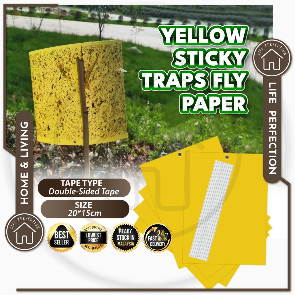 Double Sided Yellow Sticky Traps Fly Paper Flies Trap Insect Sticky ...