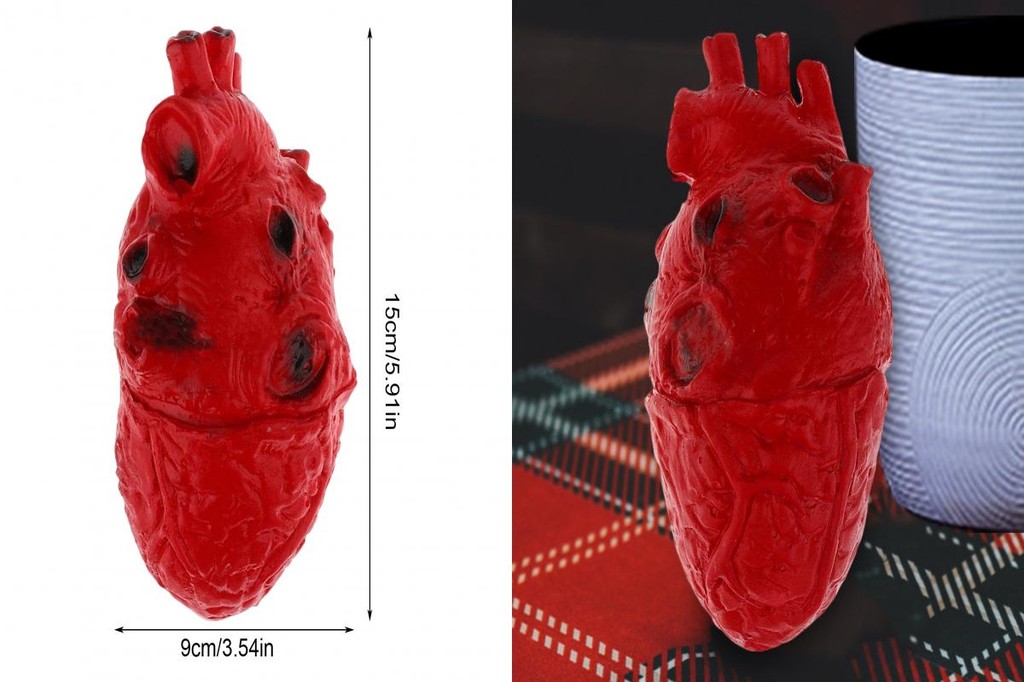 {Bakilili} Realistic Heart Model Fake Heart Prop Realistic Fake Human ...