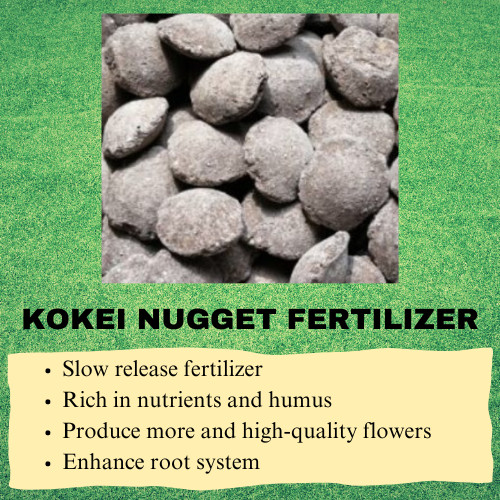 G4U 800g Kokei Nugget Fertilizer Lotus & Water Lily Fertilizer Baja ...