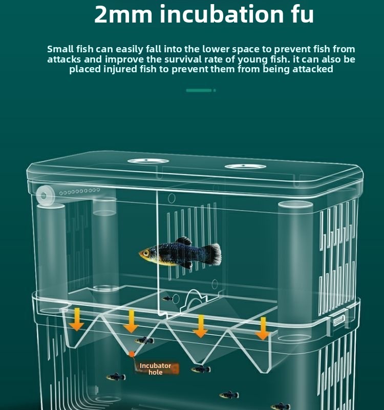 Guppy breeding box aquarium acrylic isolation box female fish spawning ...