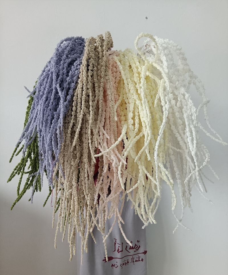 3 Branches Amaranthus For Wedding Home Office Decorations | Bunga ...