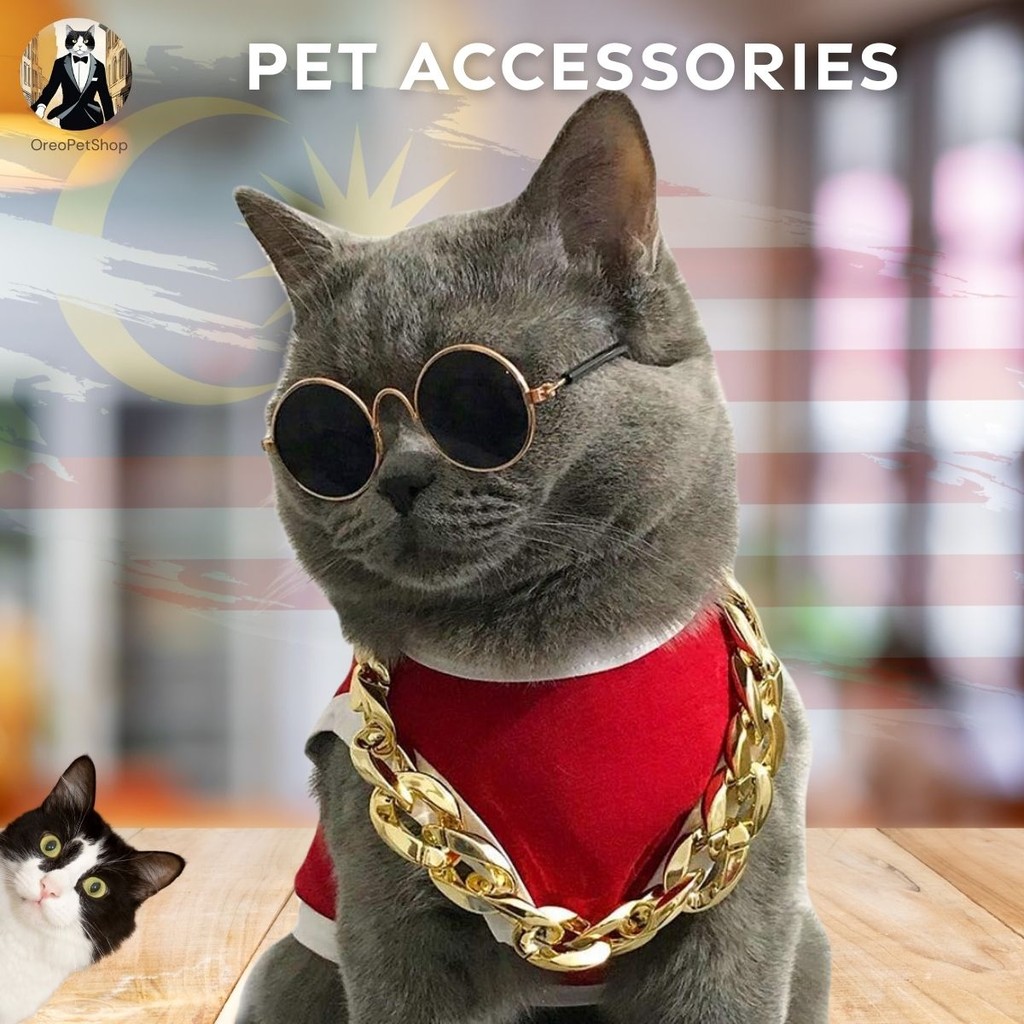 Pet Accessories CERMIN MATA KUCING CUTE COMEL HANDSOME SPEC MATA KUCING ...