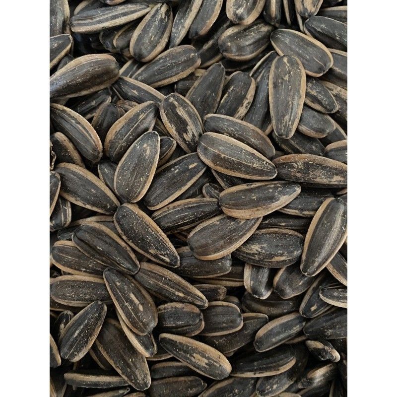 Promo Ori Chacha Jumbo Sunflower Seeds Kuaci Bunga 瓜子葵花籽 98g /Black ...