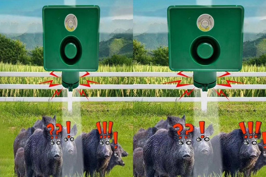 Bestus| Solar Powered Beast Deterrent Lights Repellent Solar Warning ...