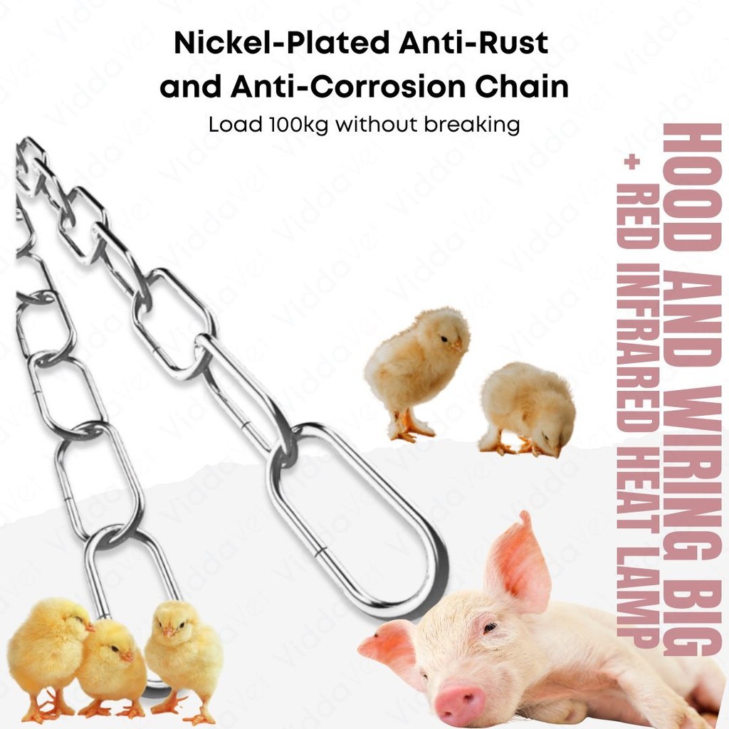 Hood and Wiring Big with Red Infrared Lamp Safe Heat for Brooding and ...