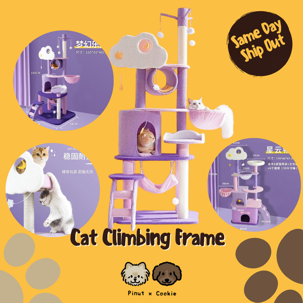 [Pinut x Cookie] Premium Purple Cat Scratching Post Cat Tree House Cat ...