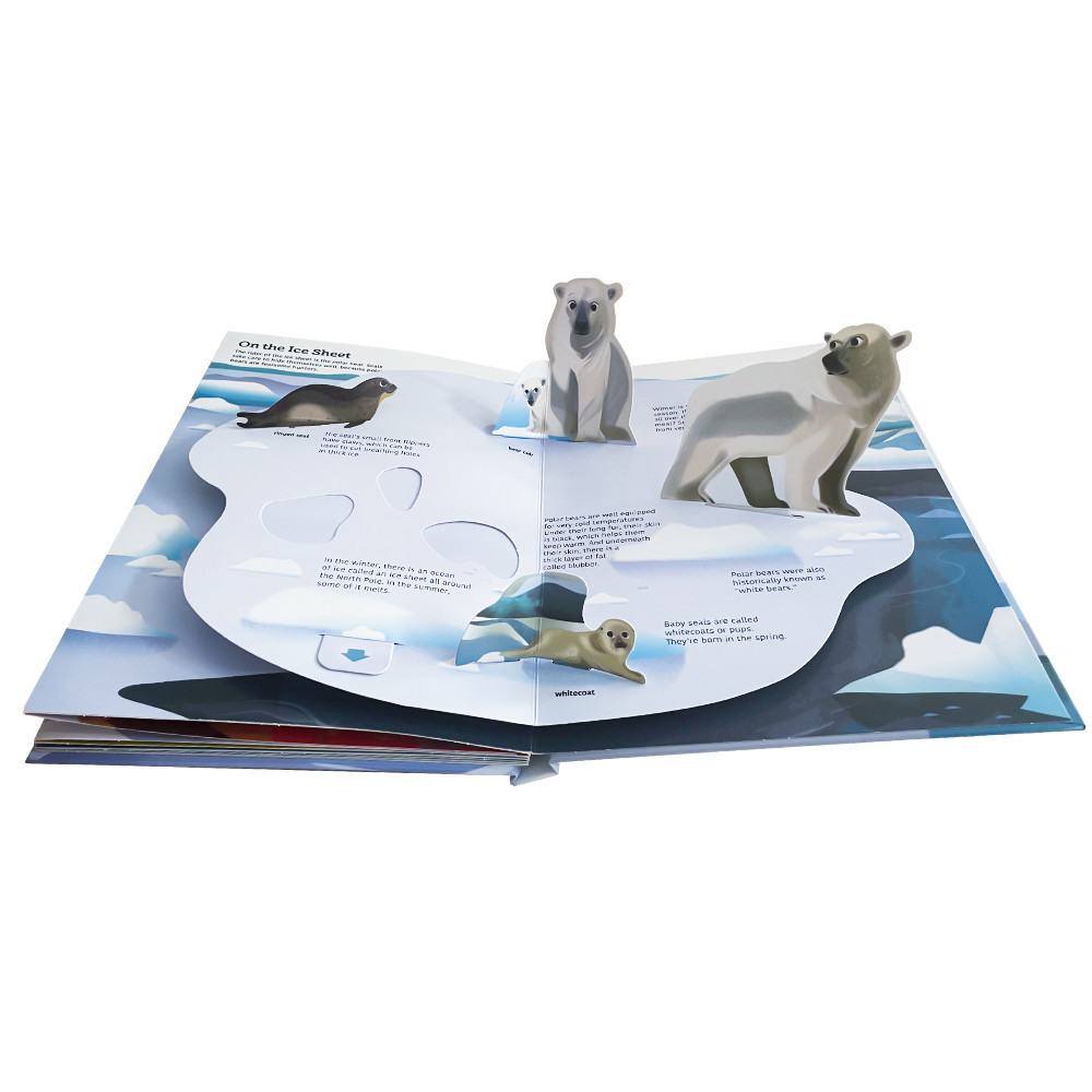 Ultimate Spotlight : Polar Animals Montessori Educational English ...