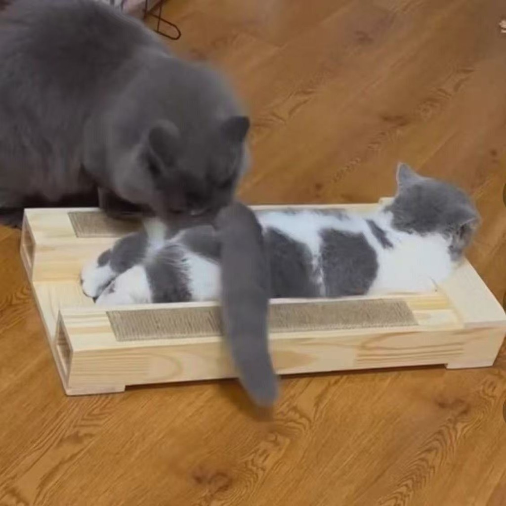 Premium Solid Wood Cat Mating Platform for Breeding, Low-Legged Cat ...