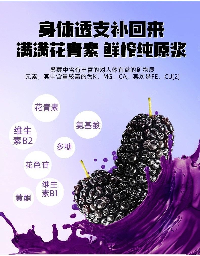 Zejun [Healthy tea bag] mulberry juice Concentrated 15ml * 10pcs 100% ...