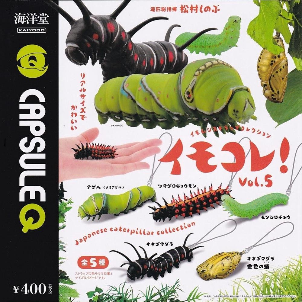 Ocean Hall Capsule Toys Insect Three-Dimensional Illustrated Book ...