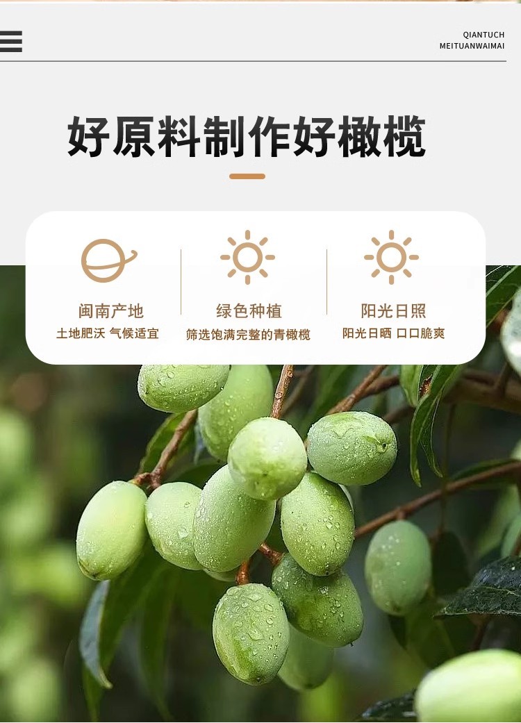 ZEJUN-Hong Kong Nuclear Olive Bars, 170gX2 Bottle, Licorice, Salted ...