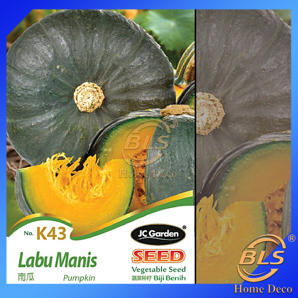 K43 PUMPKIN JC GARDEN VEGETABLE SEED BIJI BENIH LABU MANIS 南瓜 | Shopee ...