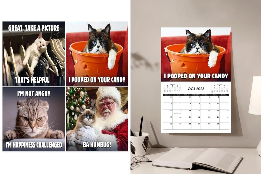wanpanyu Humorous Cat Calendar Angry Cat Calendar 2025 2025 Funny Cat ...
