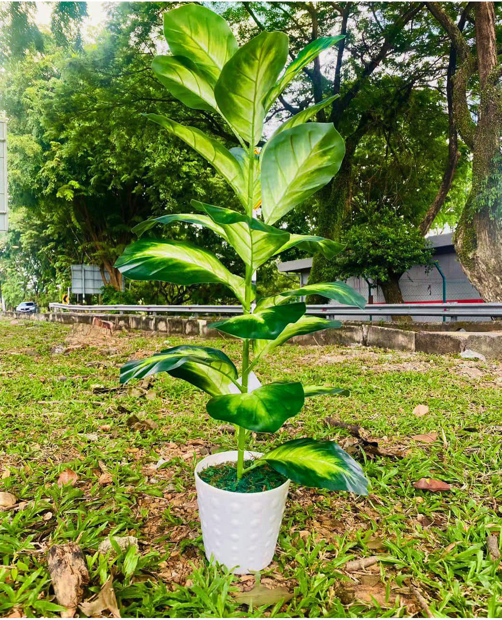 ROMANTIKA 80CM FIDDLE FIG 5 Patterns Potted Artificial Tree Fake Plants ...