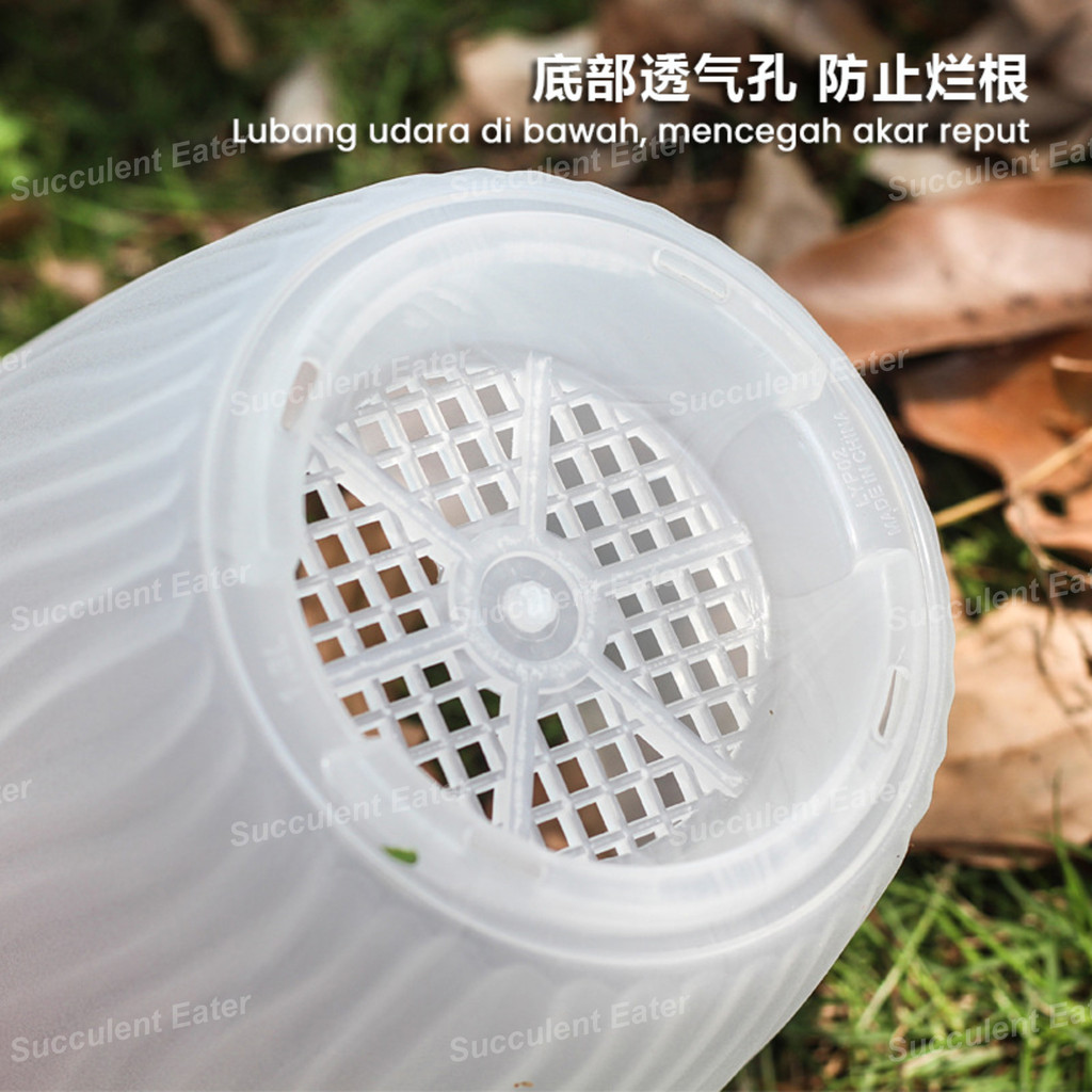 Wave Striped Flower Pot Pasu Bunga Jalur Gelombang 波纹彩色花盆 | Shopee Malaysia