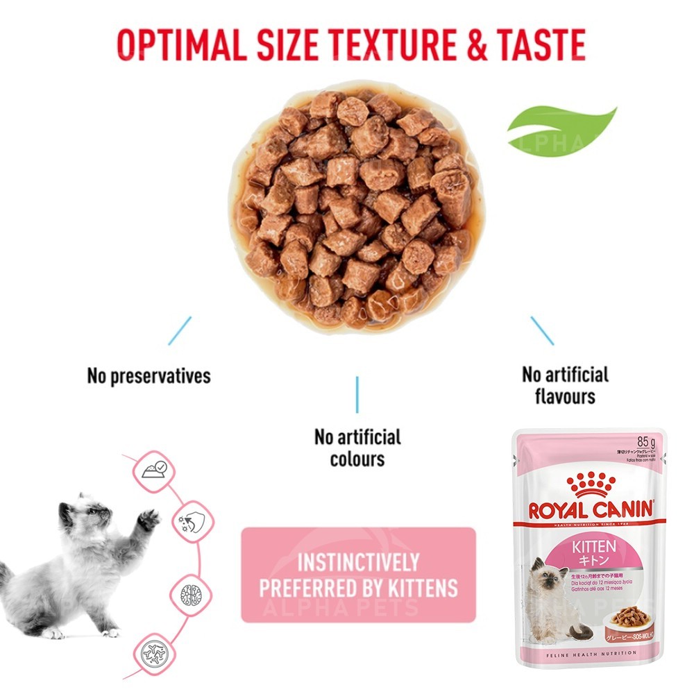 POODEE 85g x 12 Cat Food Royal Canin Wet Food Pouch Instinctive Intense ...