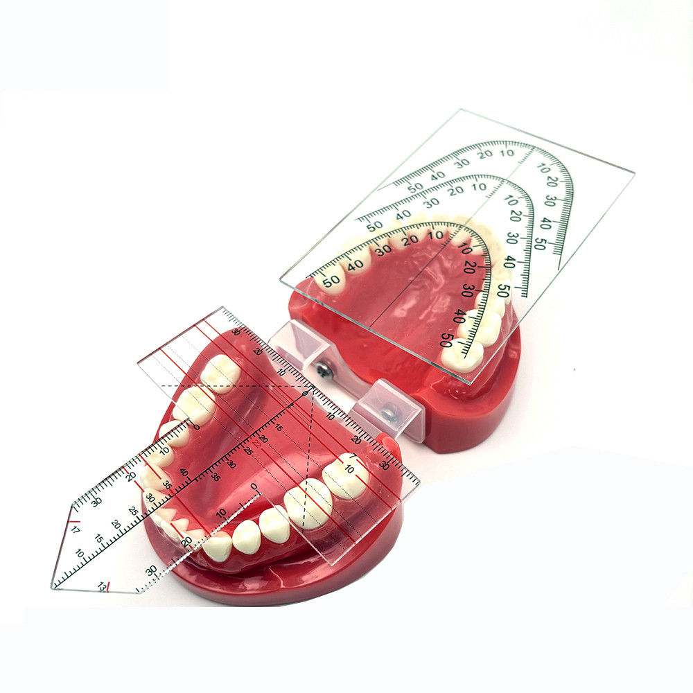 Denture Drawing And Alignment Dental Lab Guide Plate Teeth Arrangement ...