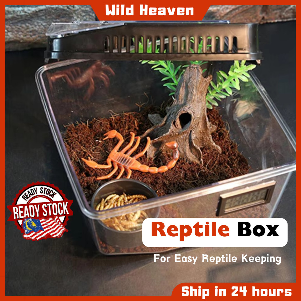 Reptile Plastic Breeding Box Shelter Insects Horn Frog Gecko Lizard ...