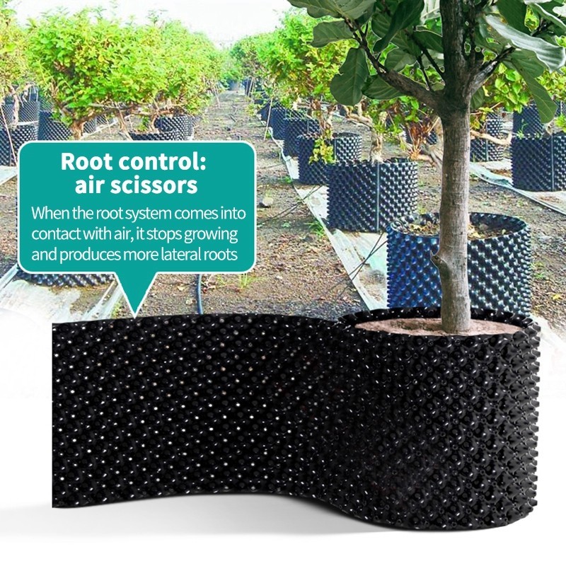 Thickened Plastic Plant Root Control Device Tree Planting Enclosure ...