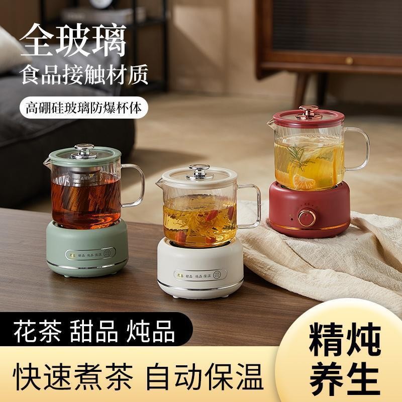 Multifunctional Health Pot Mini Office Tea Maker Household Small Flower ...