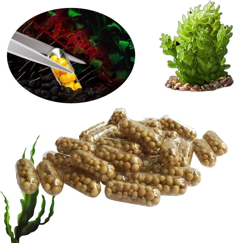 10Pcs Water Grass Root Fertilizer Root Tabs Capsules for Aquarium Slow ...