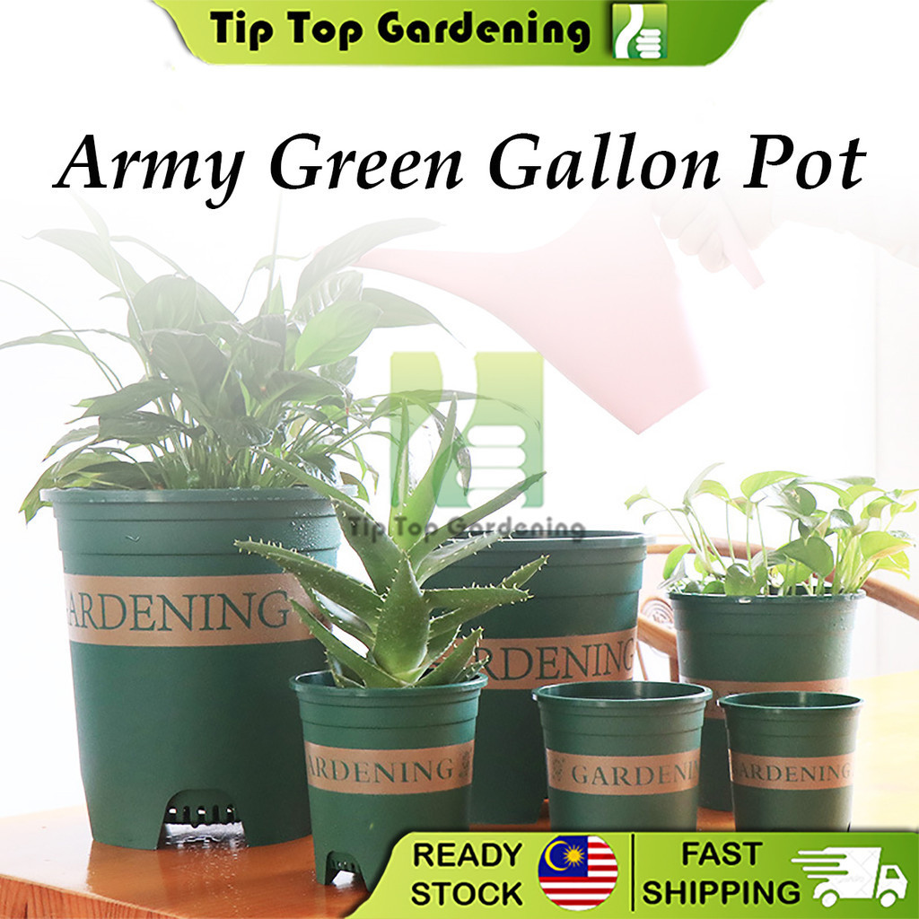 Monrovia Flower Pot Army Green Gallon Pot (High) Gardening Plastic ...