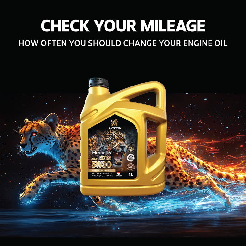 MOTION Ester Apexion API SP Fully-Synthetic Engine Oil (0W30/4L ...