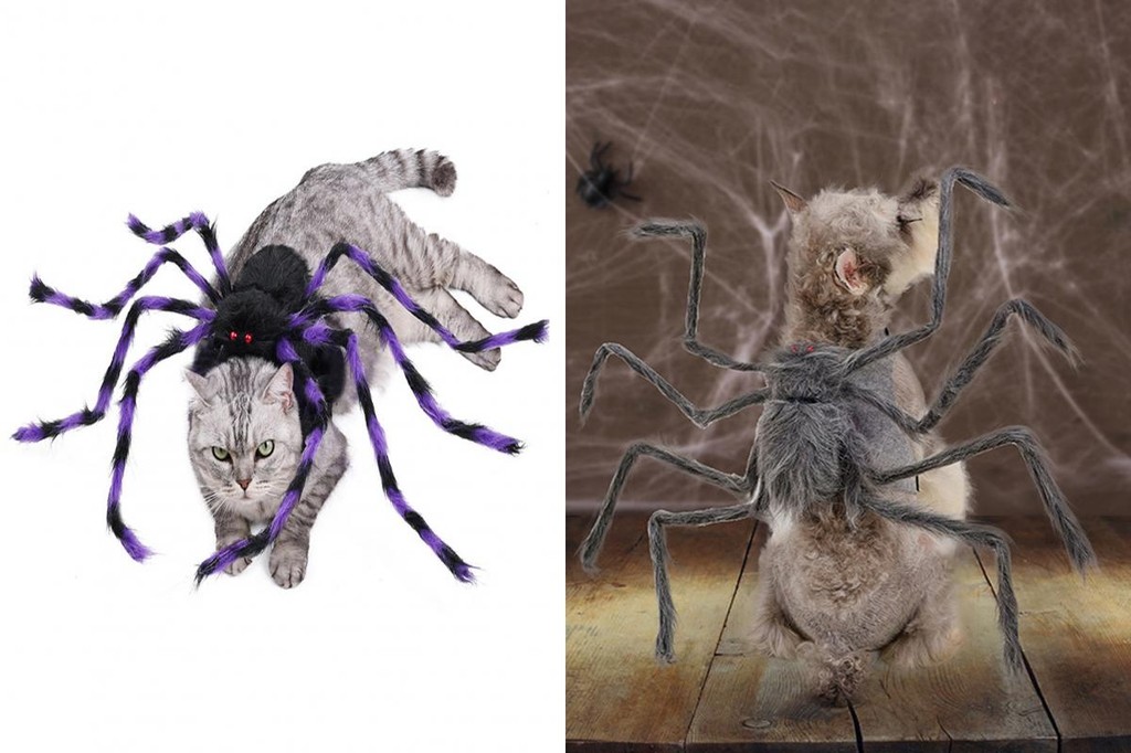 Realistic Spider Pet Costume Pet Spider Outfit Adorable Halloween Dog ...