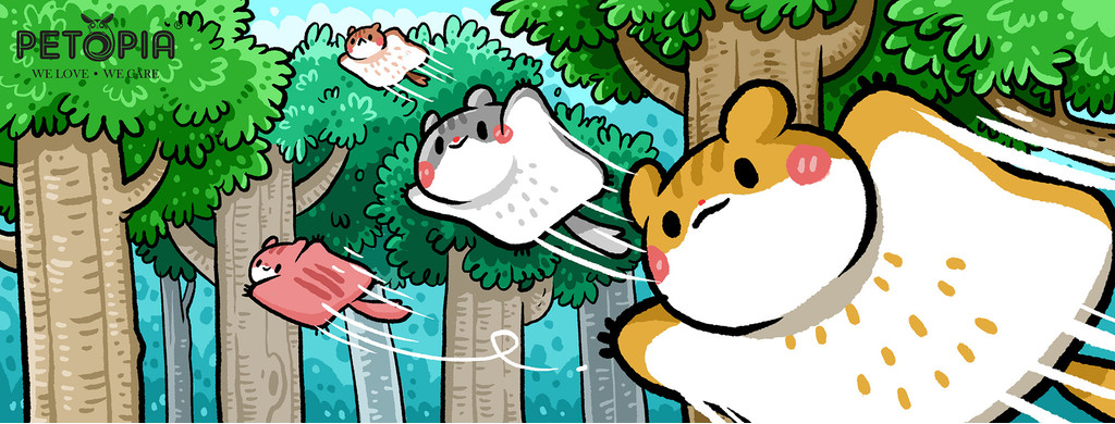 SUDO Sugar Glider Fish Bites 11g | PETOPIA Sugar Glider Fish Treat ...