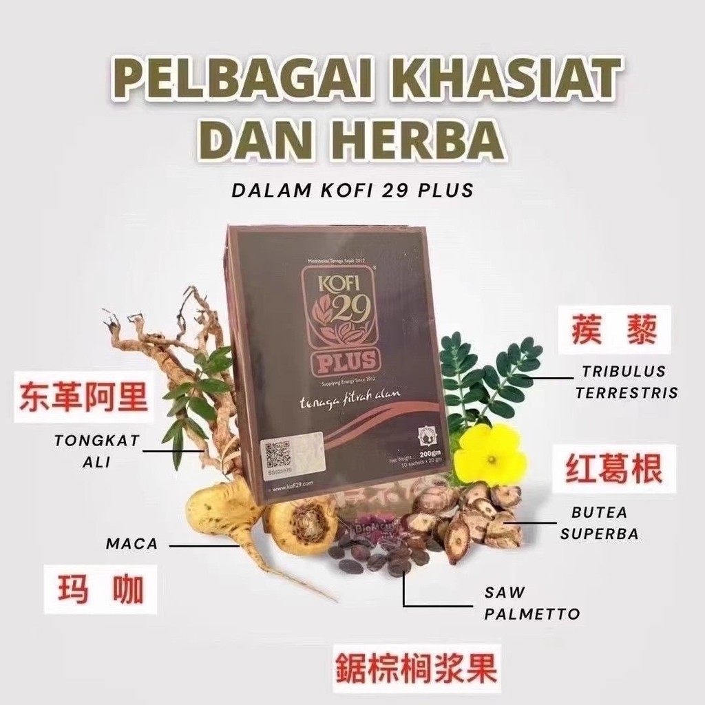 Experience Eighteen-Year-Old kofi Coffee Malaysia Coffee Men Supplement ...