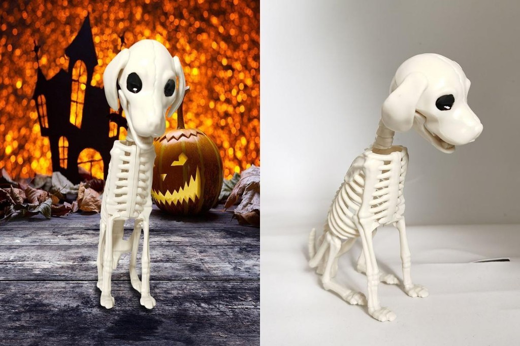 Lahtialu Adjustable Dog Skeleton Figure Articulated Skeleton Prop ...