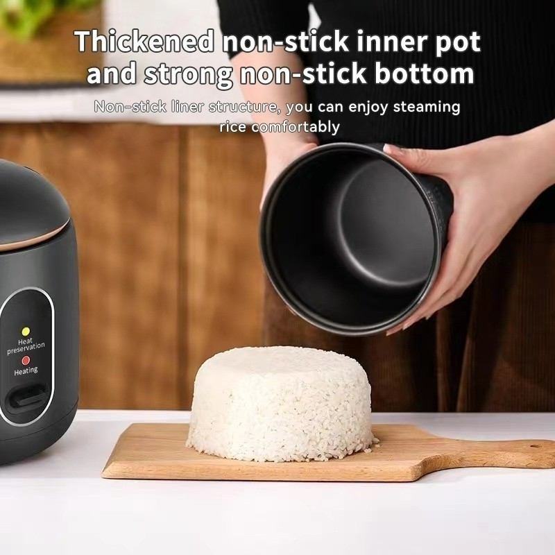 CHIGO 2 IN 1 Mini Rice Cooker electric caldronwith Non-stick Pot and ...