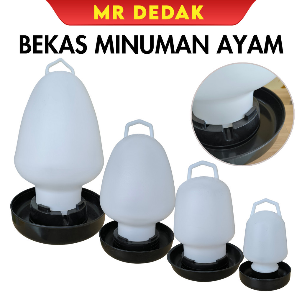 BEKAS MINUMAN AYAM MUDAH DIGUNAKAN | EASY-TO-USE CHICKEN WATERER ...