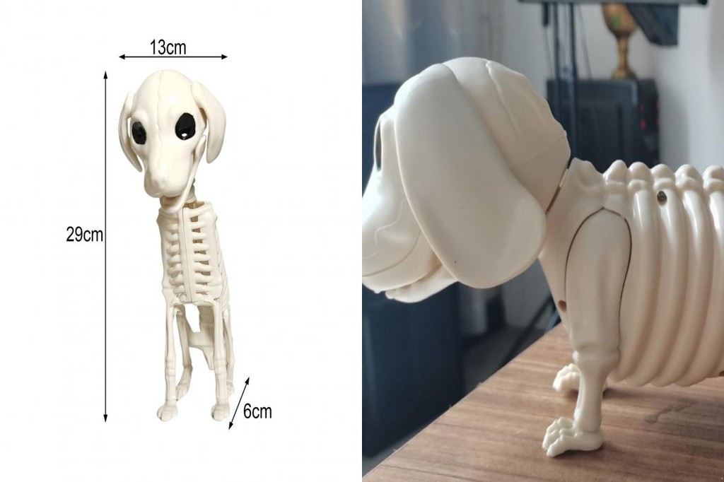 [Ready Stock] Posable Dog Skeleton Decoration Lightweight Dog Skeleton ...