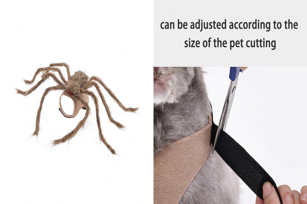 Realistic Spider Pet Costume Pet Spider Outfit Adorable Halloween Dog ...