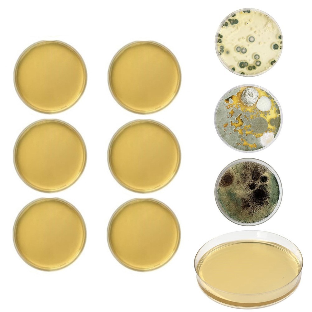 [Stock] 6 Individual Tests for Mold Test Kit Home DIY Detector HVAC/Air ...