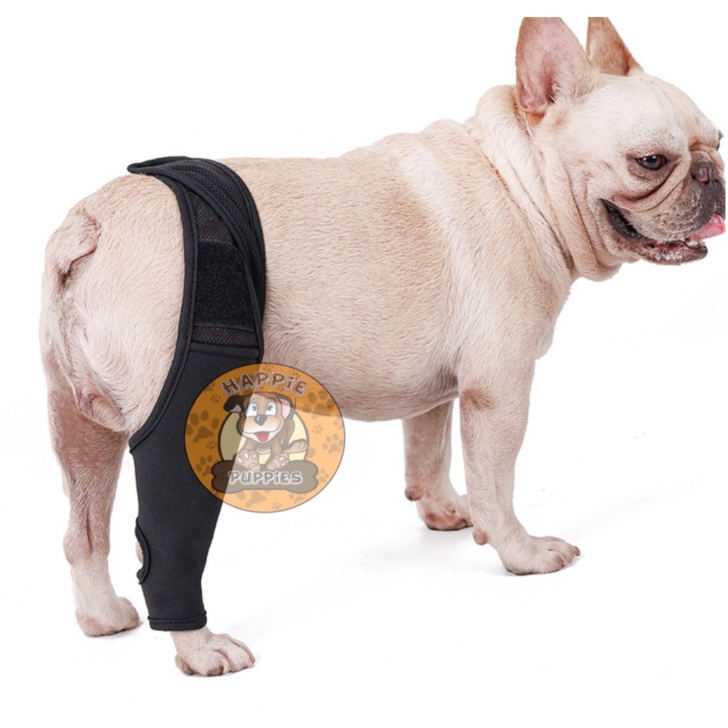 Pet Joint Leg Wrap-Around Support Brace Auxiliary Belt Dog Cat Wrap ...
