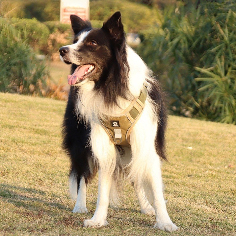 Pet Leash Explosion-Proof Punch Big Dog Chest Strap Reflective Large ...