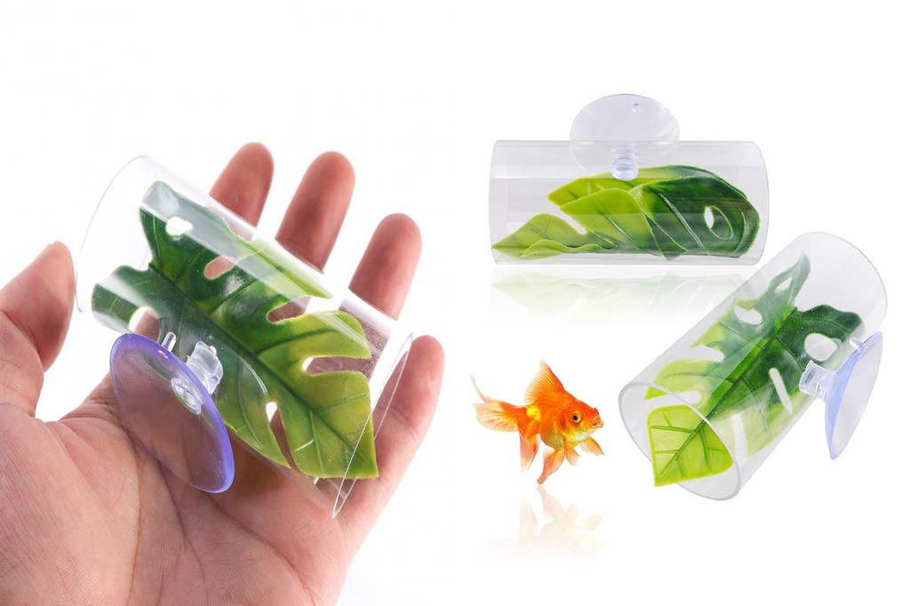 CHEER Acrylic Betta Fish Perch Betta Fish Play Tunnel Acrylic Betta ...