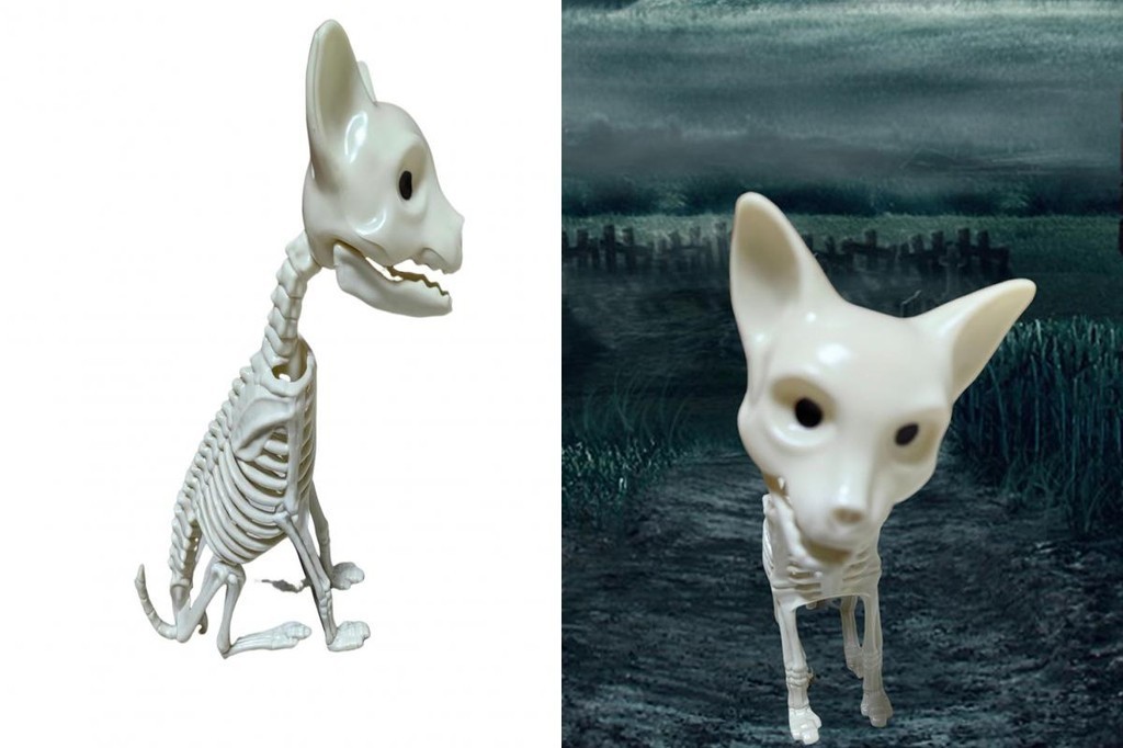 [Ready stock] High-quality Plastic Skeleton Spooky Cat Skeleton Figure ...