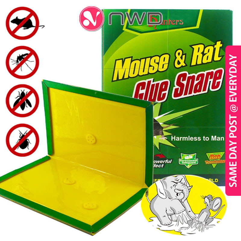 𝗦𝗔𝗠𝗘 𝗗𝗔𝗬 𝗣𝗢𝗦𝗧 》Super Glue Mouse Sticky Card Trap Rat Mice Catcher Board ...