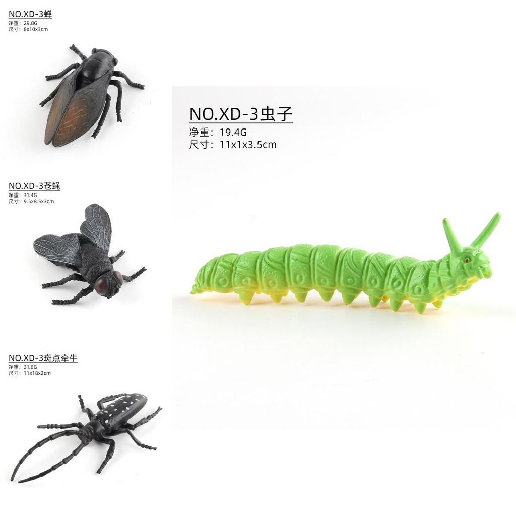 Static Exquisite Pvc Insect Models Set With Realistic Designs Of ...